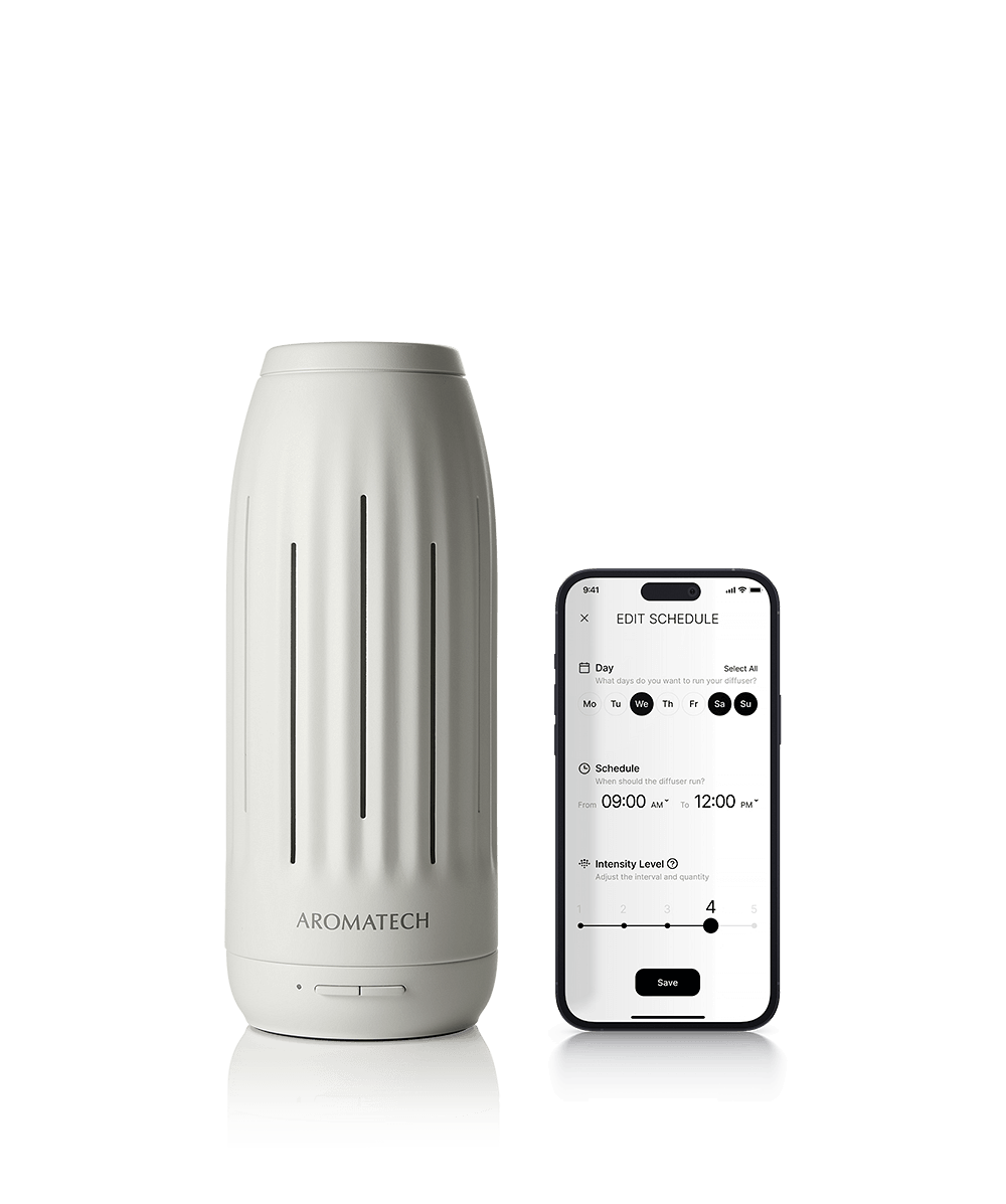 Ambience Mini