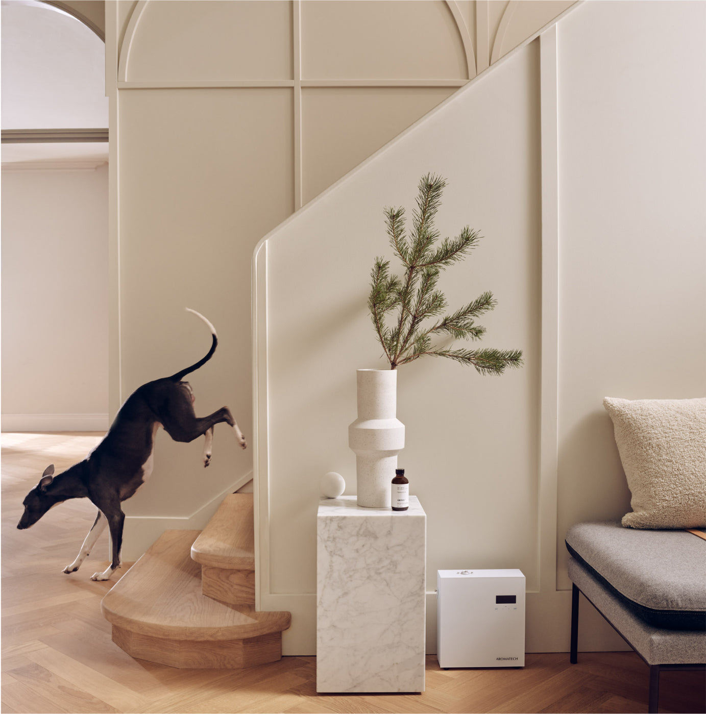 Scent Machines, Home Fragrance Systems, Essential & Aroma Oils